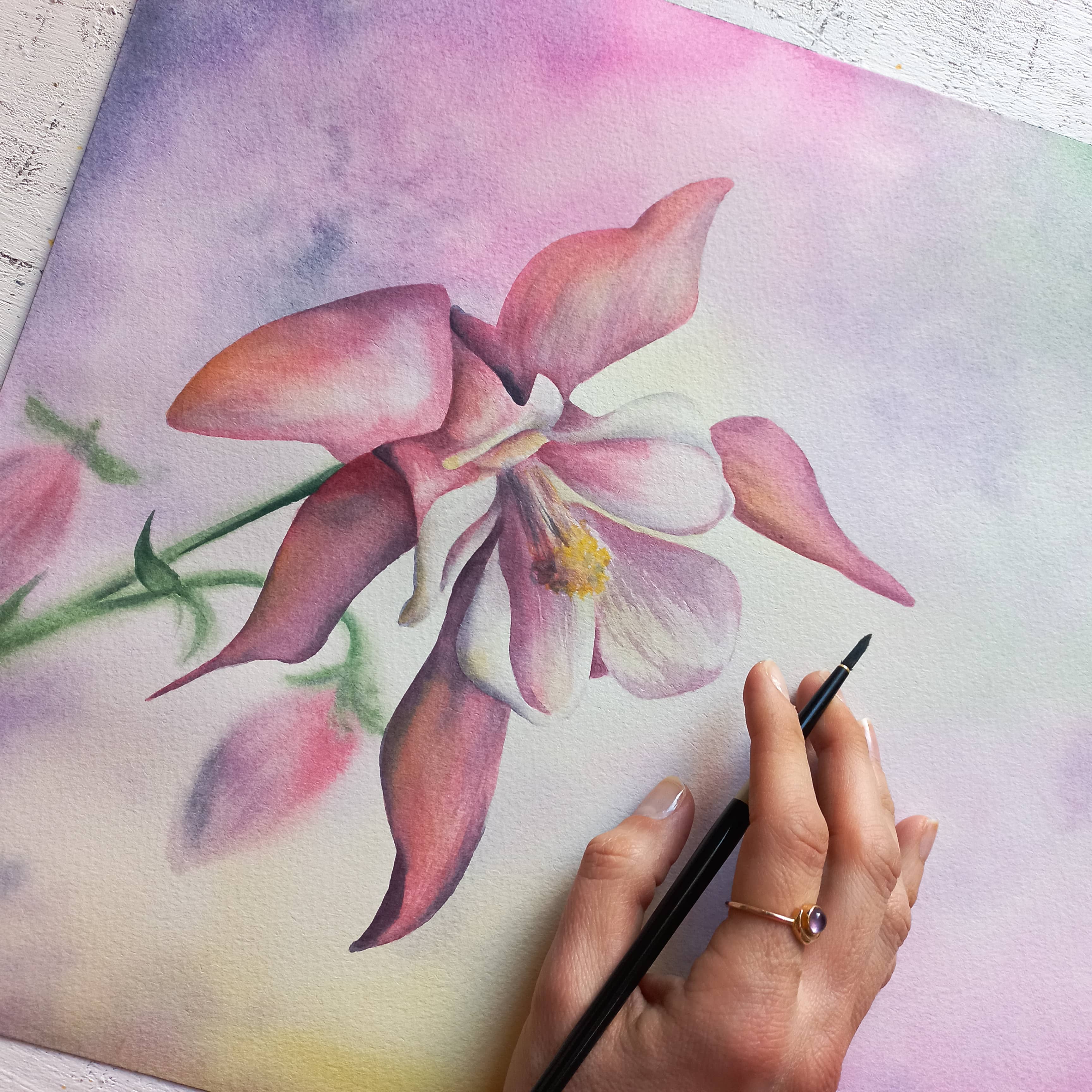 Patreon - Françoise Blayac