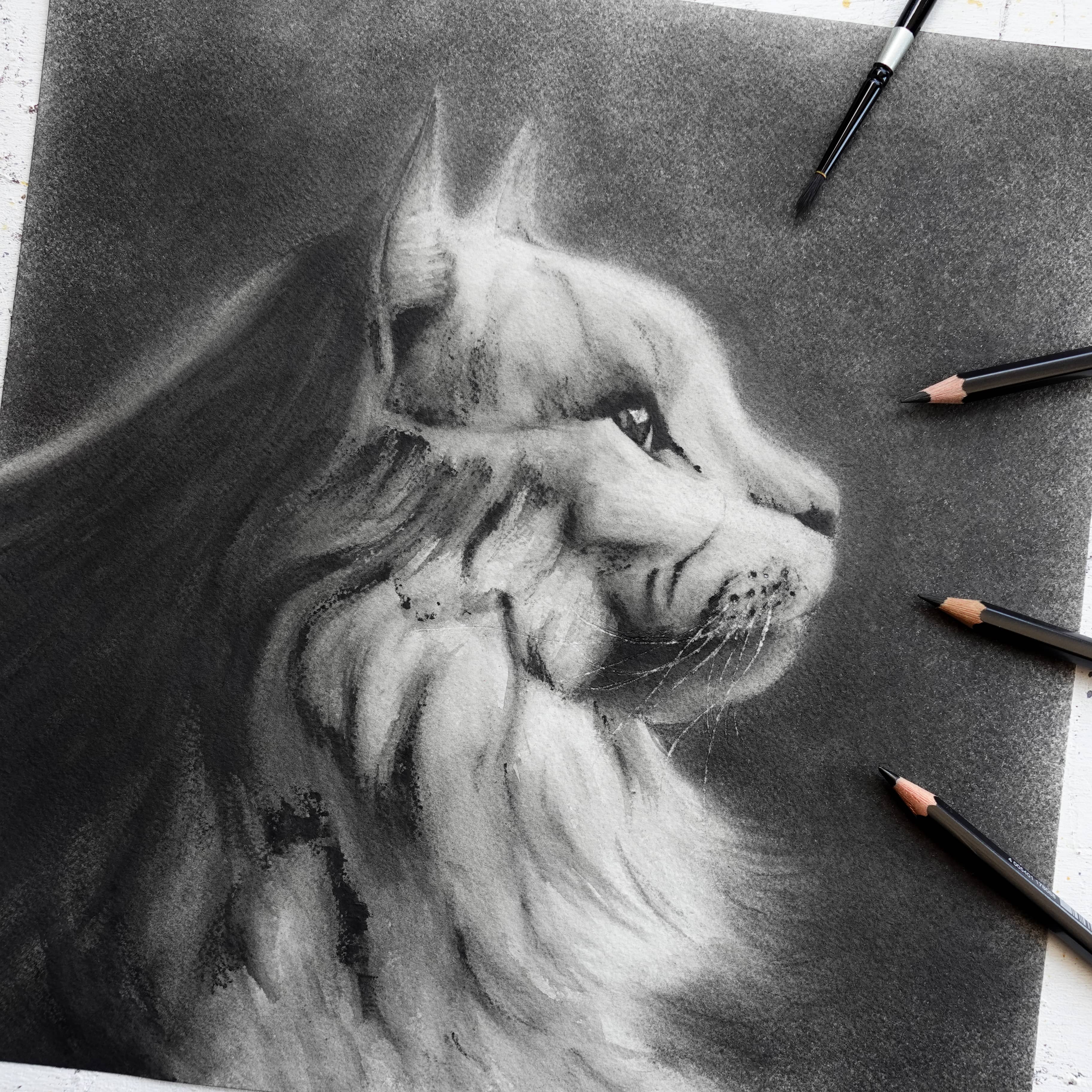 Watercolor Pencil Mastery Course