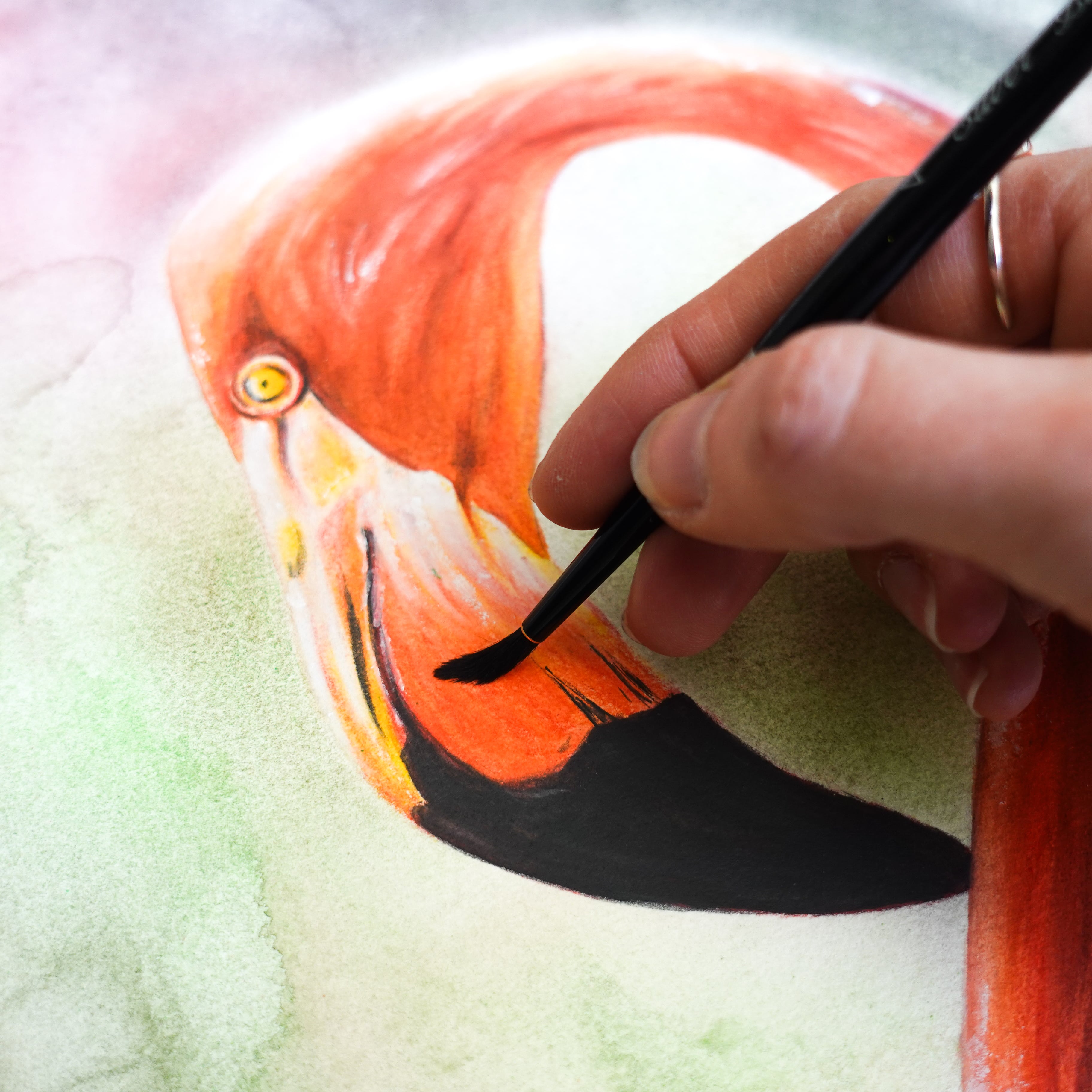 Watercolor Pencil Mastery Course