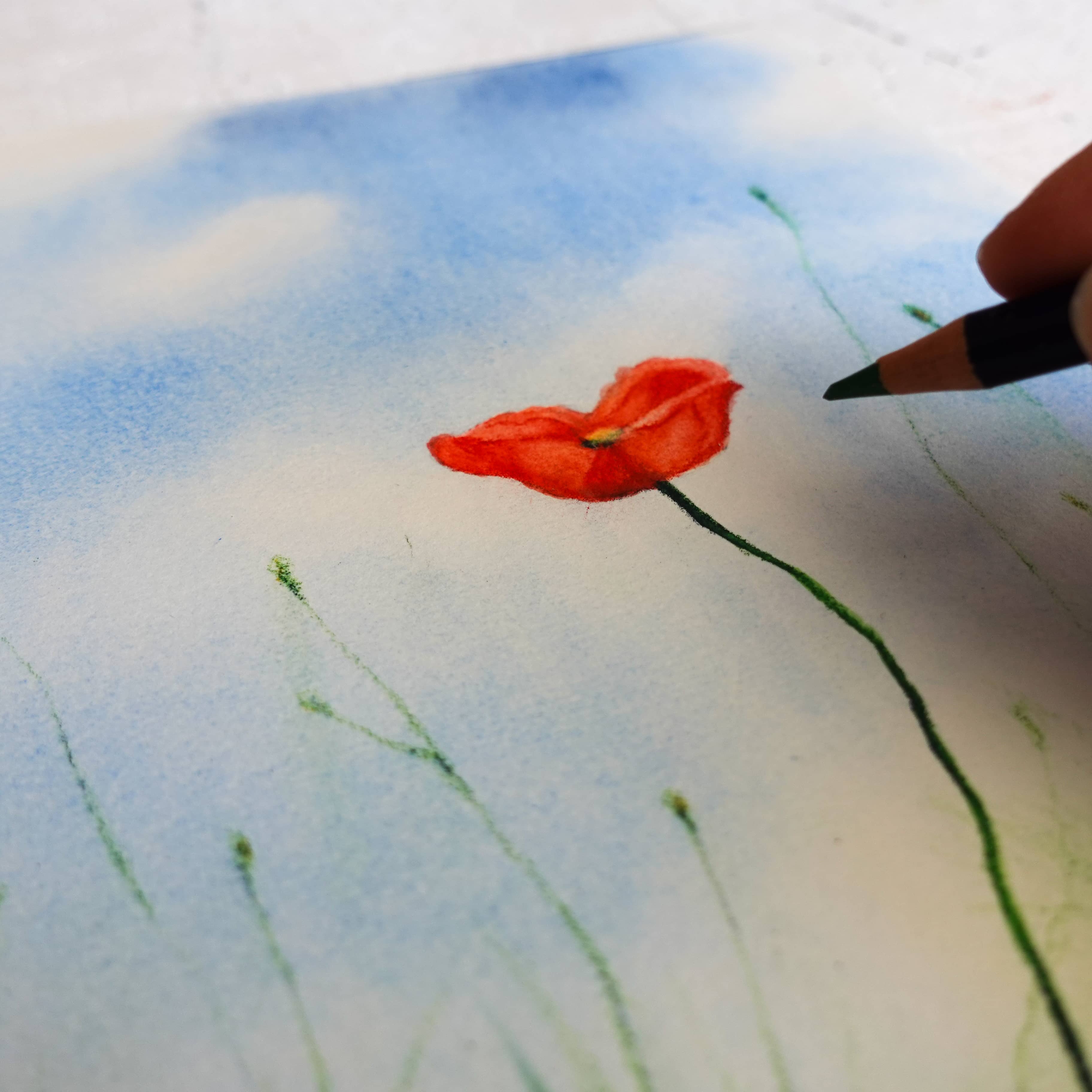 Watercolor Pencil Mastery Course