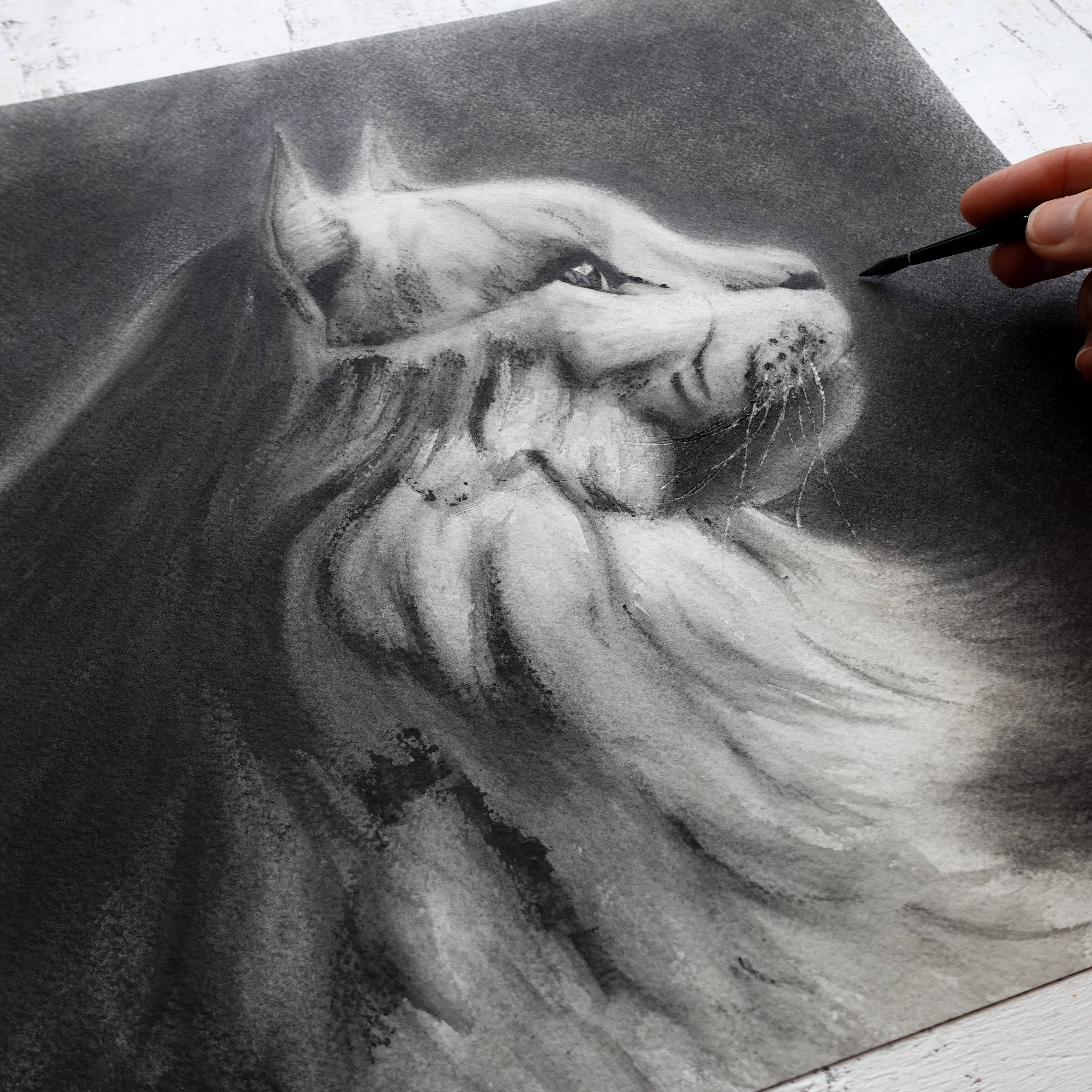 Watercolor Pencil Mastery Course