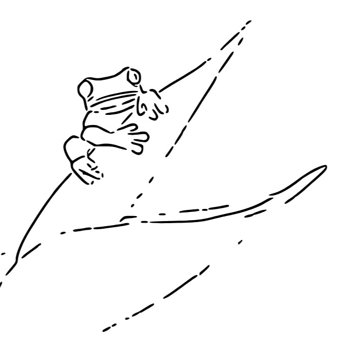 Watercolor Pencil Mastery Course